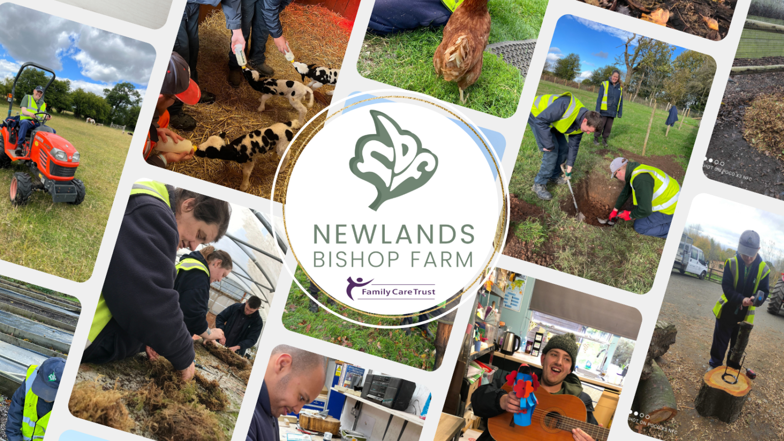 About Newlands Bishop Farm